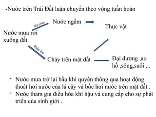 bai44 Chu trinh sinh dia hoa va sinh quyen.pptx