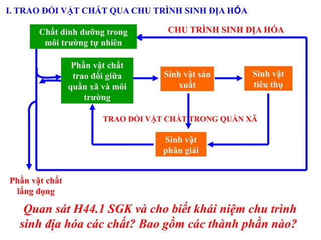 bai44 Chu trinh sinh dia hoa va sinh quyen.pptx