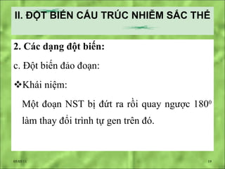 BÀI 5: NHIỄM SẮC THỂ VÀ ĐỘT BIẾN CẤU TRÚC NHIỄM SẮC THỂ | PPT