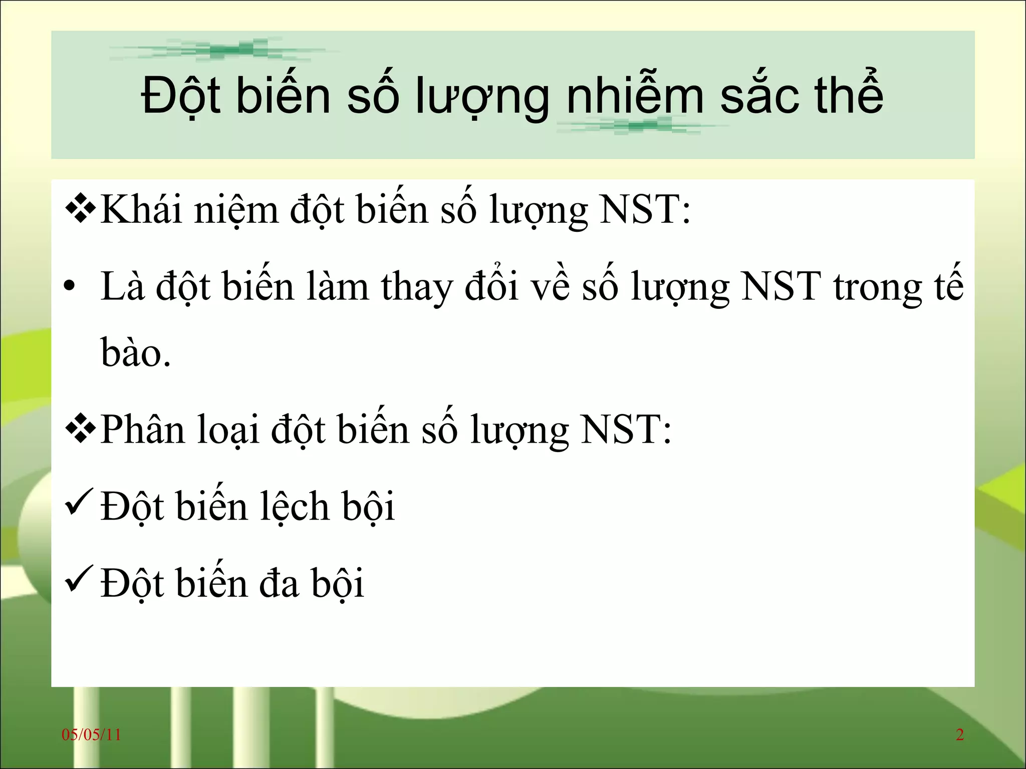 BÀI 6: ĐỘT BIẾN SỐ LƯỢNG NHIỄM SẮC THỂ | PPT