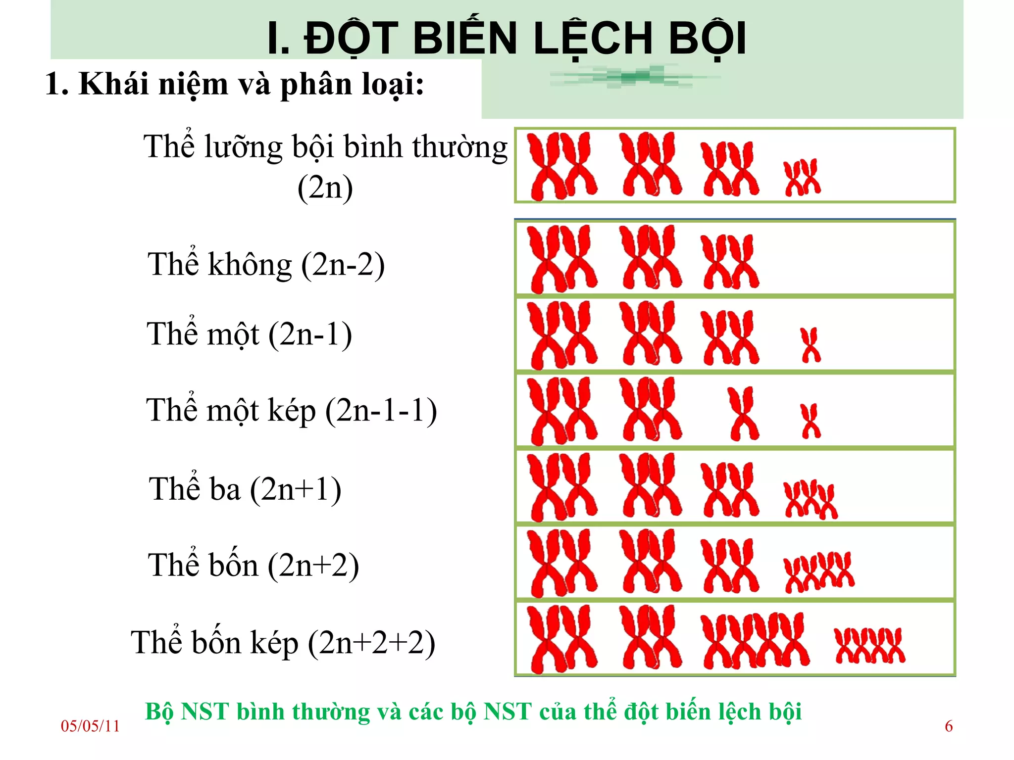 BÀI 6: ĐỘT BIẾN SỐ LƯỢNG NHIỄM SẮC THỂ | PPT | Free Download