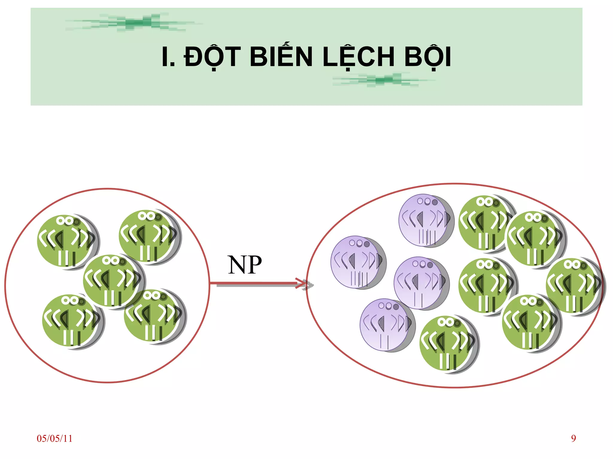 BÀI 6: ĐỘT BIẾN SỐ LƯỢNG NHIỄM SẮC THỂ | PPT
