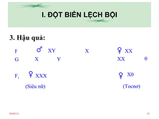 BÀI 6: ĐỘT BIẾN SỐ LƯỢNG NHIỄM SẮC THỂ | PPT