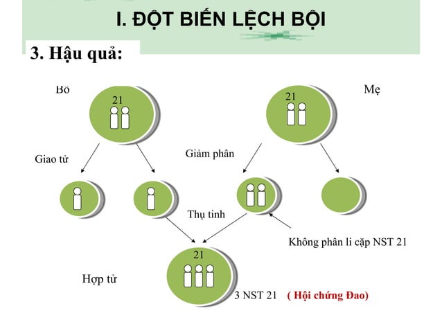 BÀI 6: ĐỘT BIẾN SỐ LƯỢNG NHIỄM SẮC THỂ | PPT
