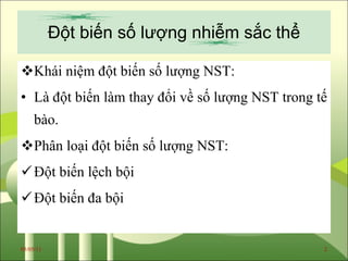 BÀI 6: ĐỘT BIẾN SỐ LƯỢNG NHIỄM SẮC THỂ | PPT