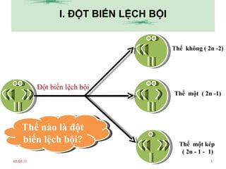 BÀI 6: ĐỘT BIẾN SỐ LƯỢNG NHIỄM SẮC THỂ | PPT