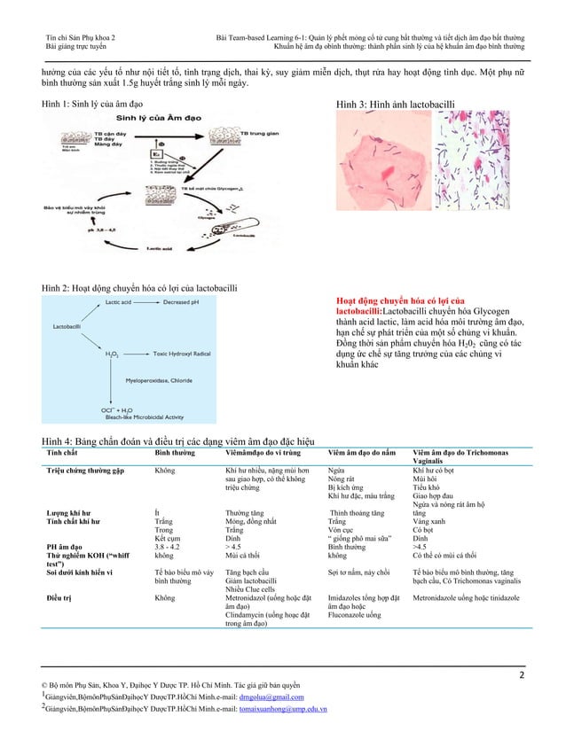 LỘ TUYẾN CTC VÀ CHUYỂN SẢN: HIỂU BIẾT VÀ DIỄN TIẾN TỰ NHIÊN, SỰ LÀNH CỦA LỘ TUYẾN CTC | PDF