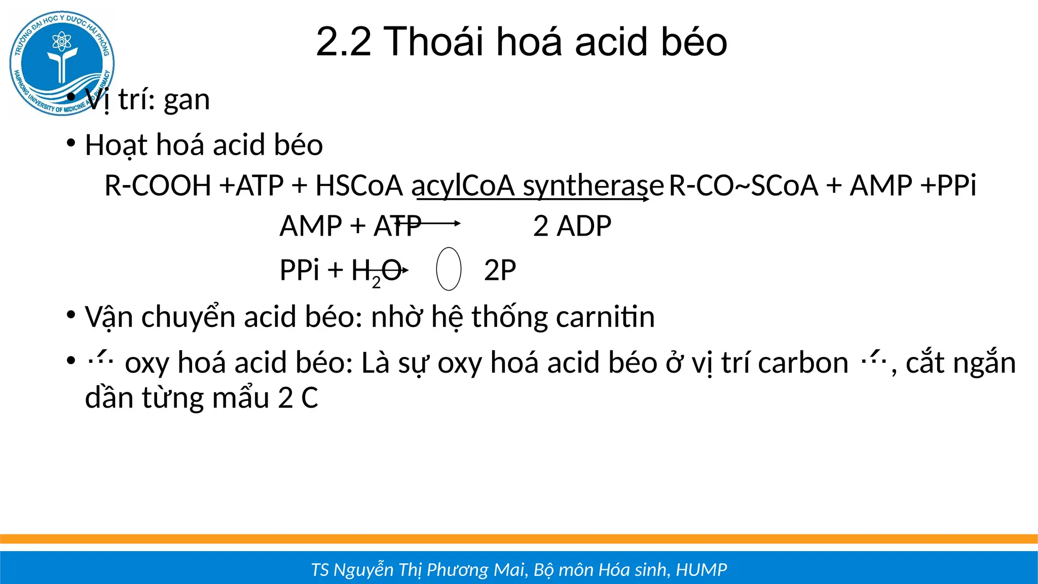 chuyen hoa lipid bai hoc so 7 khong hiu | PPTX