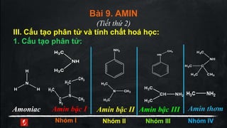 Bai-9- AMIN-HOA 12- CO BAN | PPTX