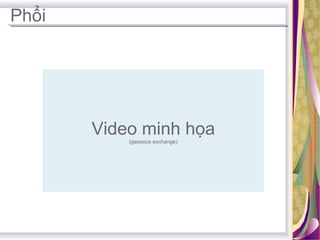 Giai phau sinh ly he ho hap | PPT
