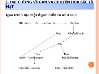 Bài Giảng Bệnh Gan.pdf