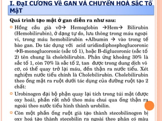 Bài Giảng Bệnh Gan.pdf