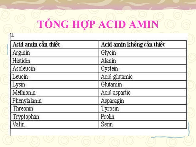 bai_giang_hoa_sinh_bai_12_chuyen_hoa_protid_7546.ppt