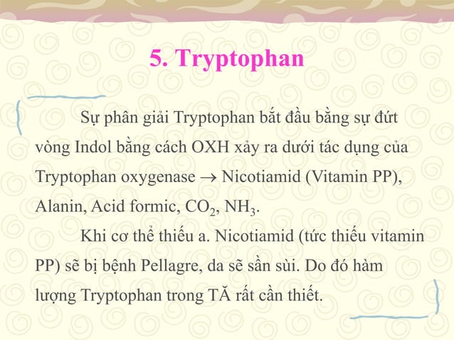 bai_giang_hoa_sinh_bai_12_chuyen_hoa_protid_7546.ppt