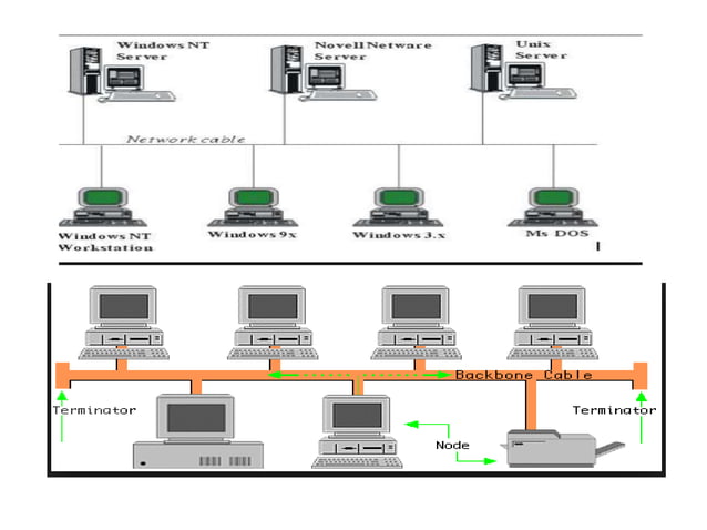 Bai giang mon_mang_may_tinh_can_ban_7045 | PPT