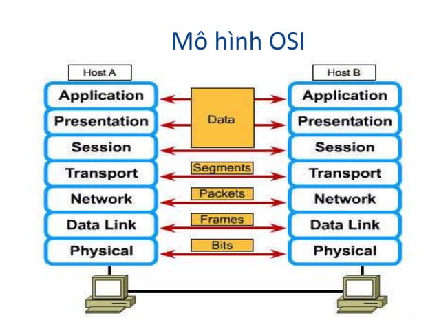 Bai giang mon_mang_may_tinh_can_ban_7045 | PPT