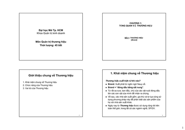 Bai giang thuong hieu | PDF