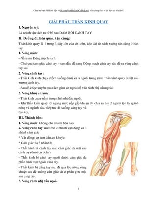 Giải phẫu | Thần kinh quay | PDF