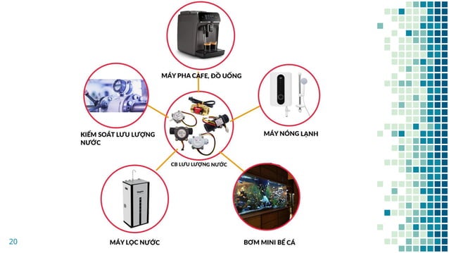cambienxulitinhieuve cam bien sieu am ung | PPTX