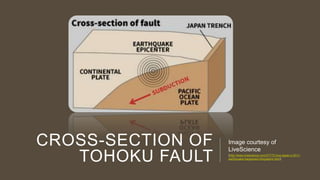 Bailas, leah tohoku earthquake power point | PPTX