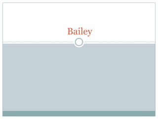 Bailey | PPT