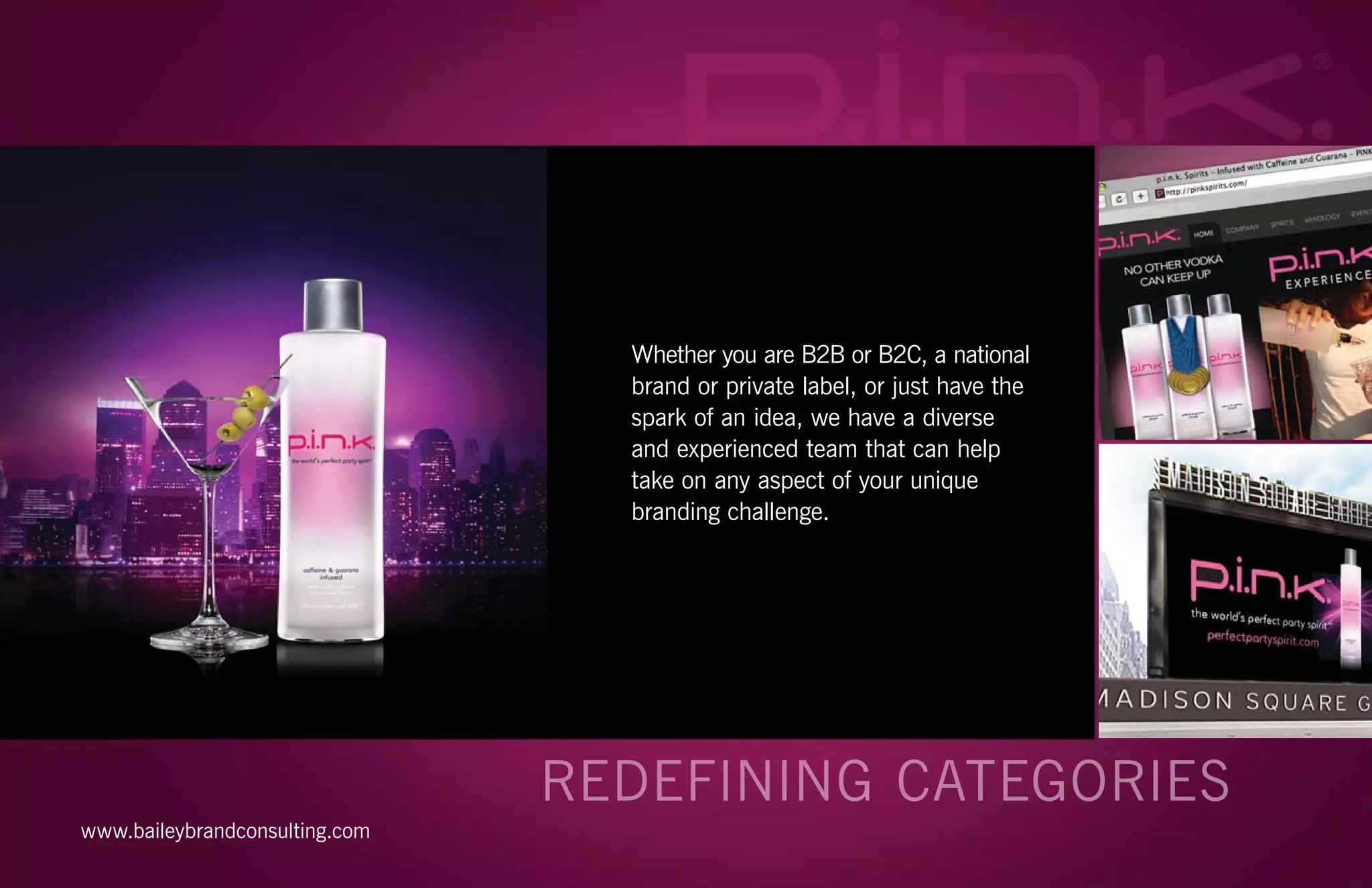 Bailey Overview | PDF