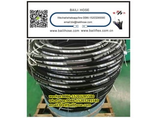 Bailihose frida mobile:0086-15203285580 | PPT