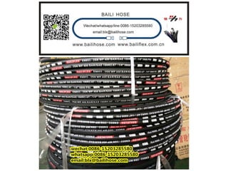 Bailihose frida mobile:0086-15203285580 | PPT