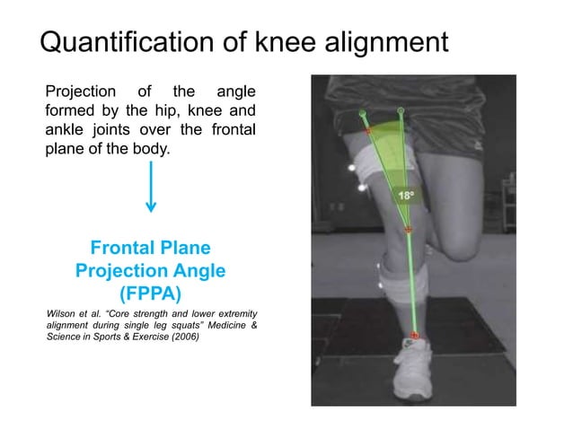 First Approach to Automatic Measurement of Frontal Plane Projection ...