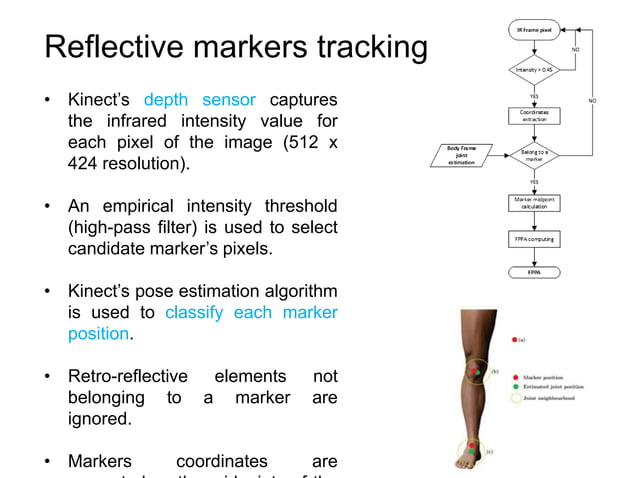 First Approach to Automatic Measurement of Frontal Plane Projection ...