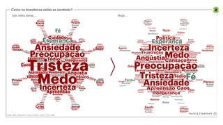 Brazil's Consumer Pulse Update | PDF