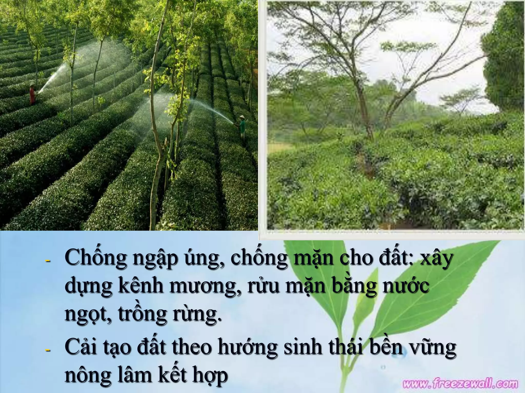 bai_o_nhiem_moi_truong_dat.ppt