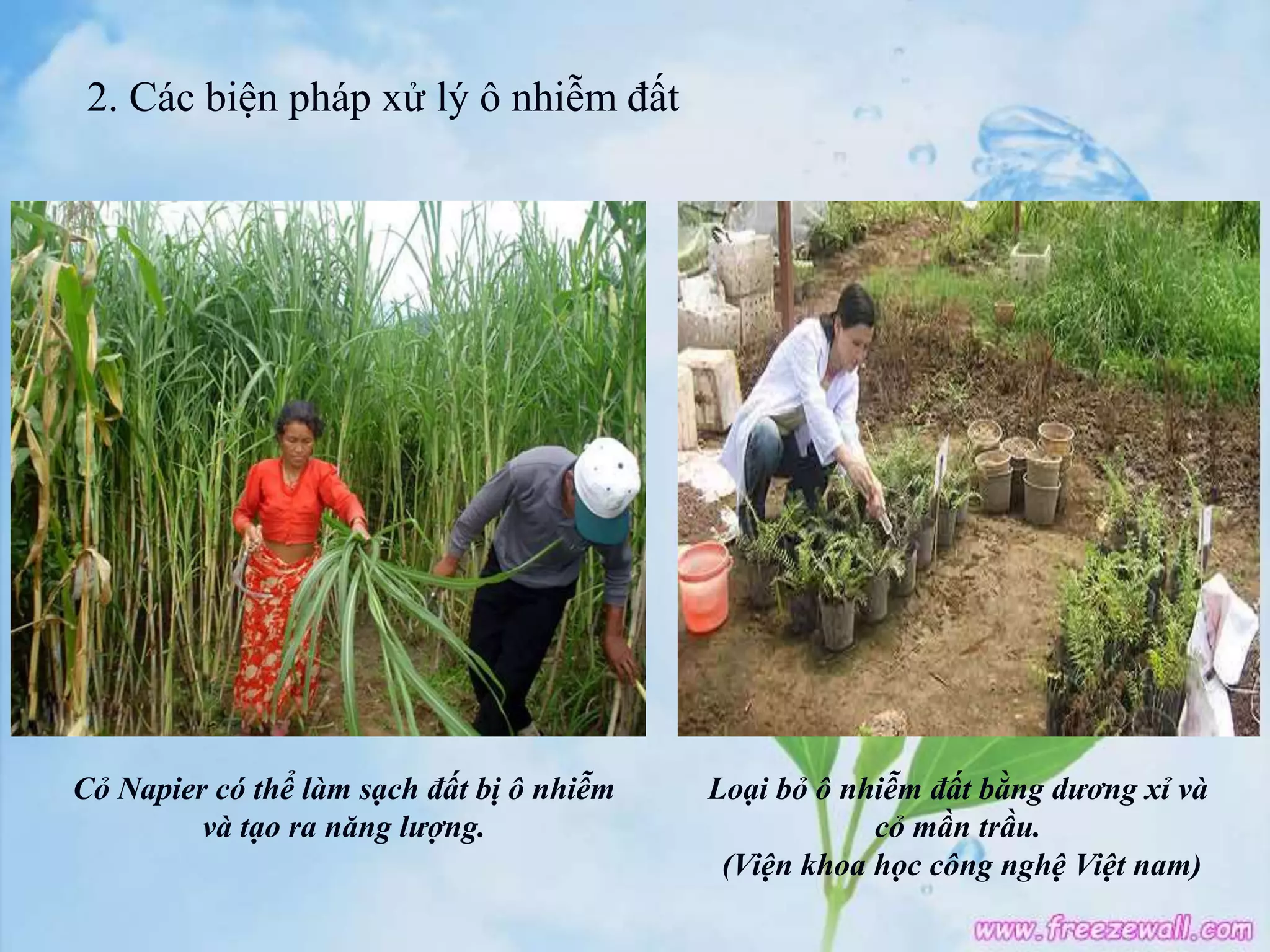 bai_o_nhiem_moi_truong_dat.ppt