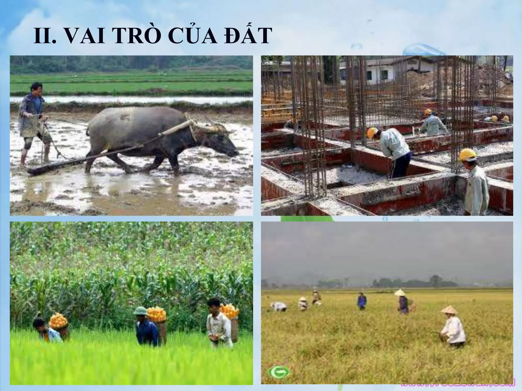 bai_o_nhiem_moi_truong_dat.ppt