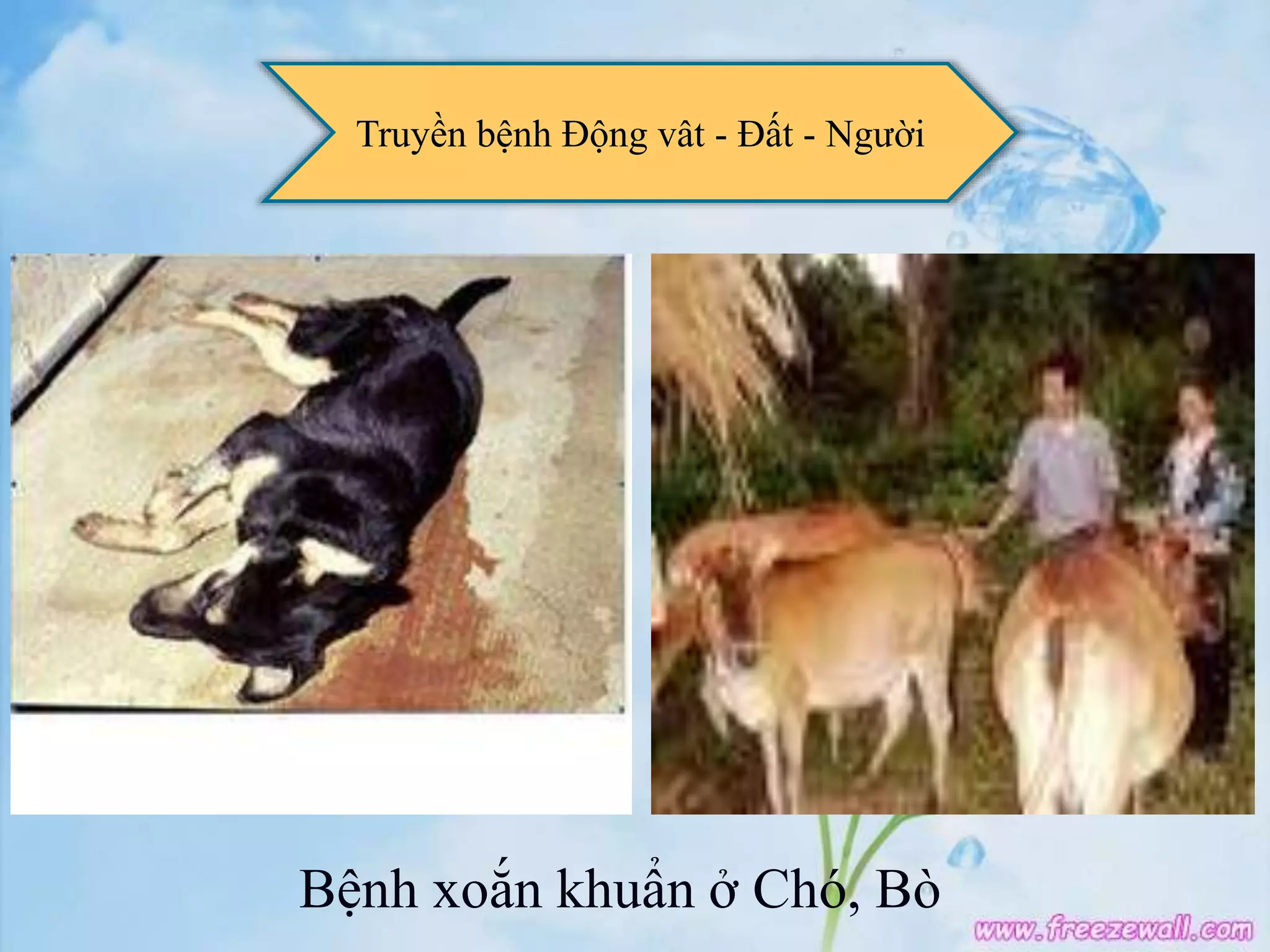 bai_o_nhiem_moi_truong_dat.ppt