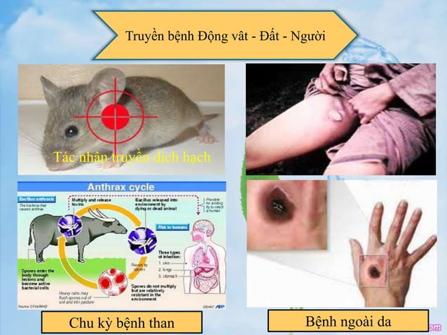 bai_o_nhiem_moi_truong_dat.ppt