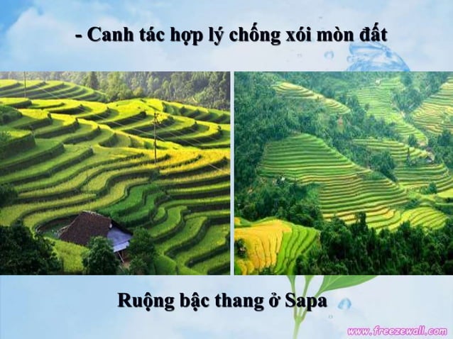 bai_o_nhiem_moi_truong_dat.ppt