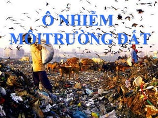 bai_o_nhiem_moi_truong_dat.ppt