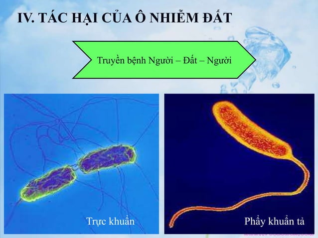 bai_o_nhiem_moi_truong_dat.ppt