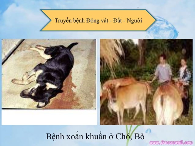 bai_o_nhiem_moi_truong_dat.ppt