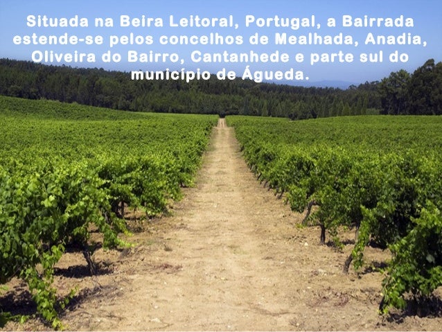 Bairrada - Portugal