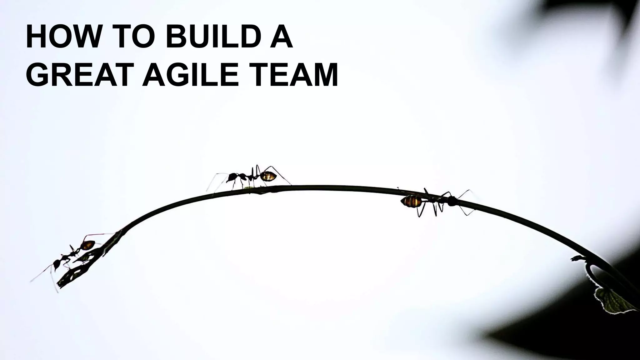 How To Build A Great Agile Team | PPTX