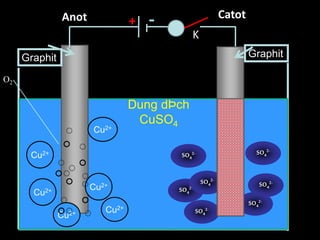 Bai su dien phan 12 nang cao | PPT