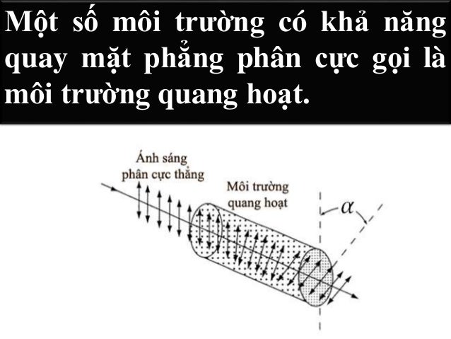 Bài tập ánh sáng phân cực