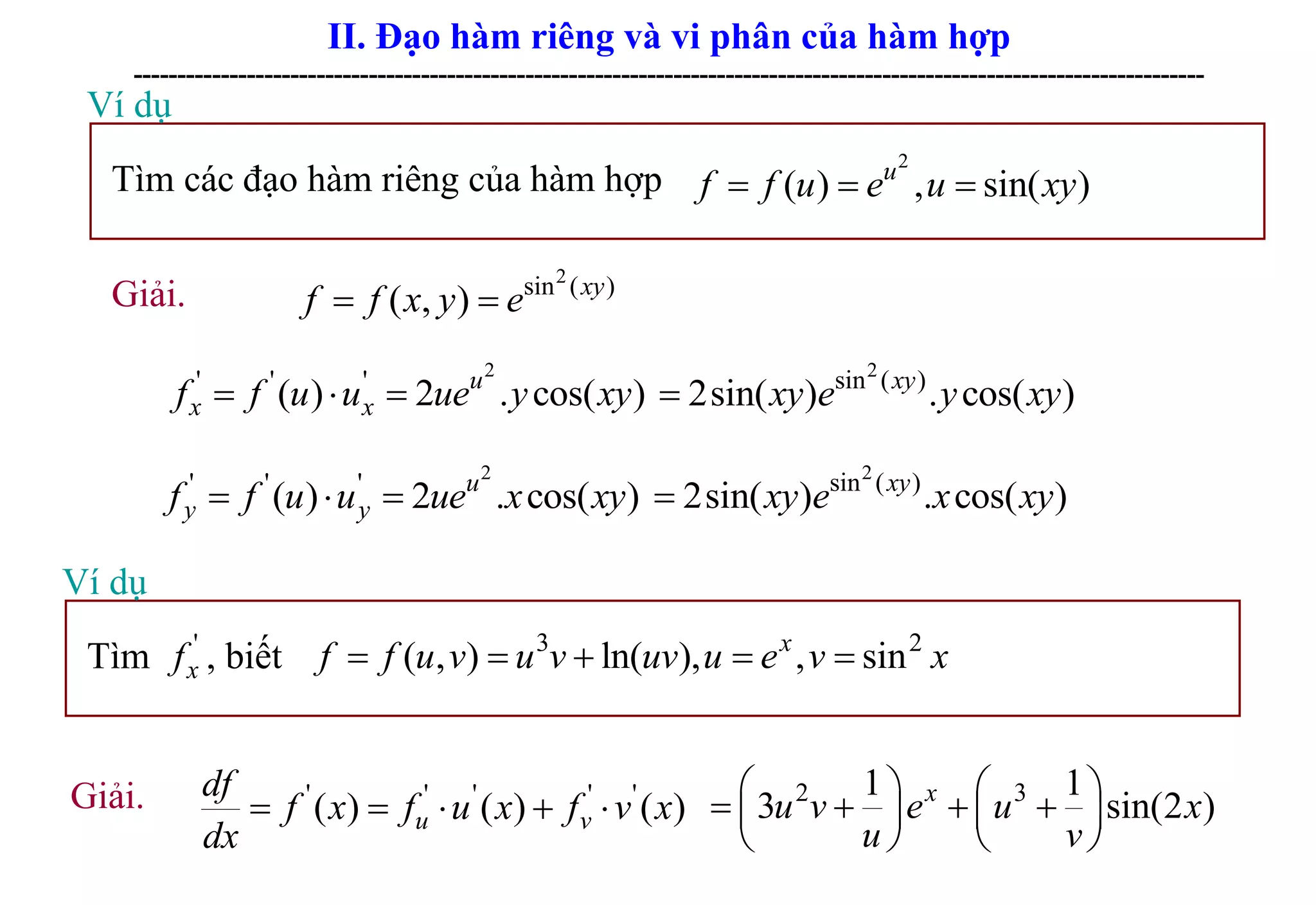 Bai tap co loi giai dao hamieng_va_vi_phan | PDF