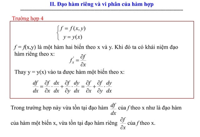 Bai tap co loi giai dao hamieng_va_vi_phan | PDF
