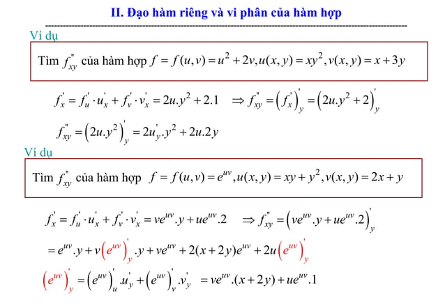 Bai tap co loi giai dao hamieng_va_vi_phan | PDF