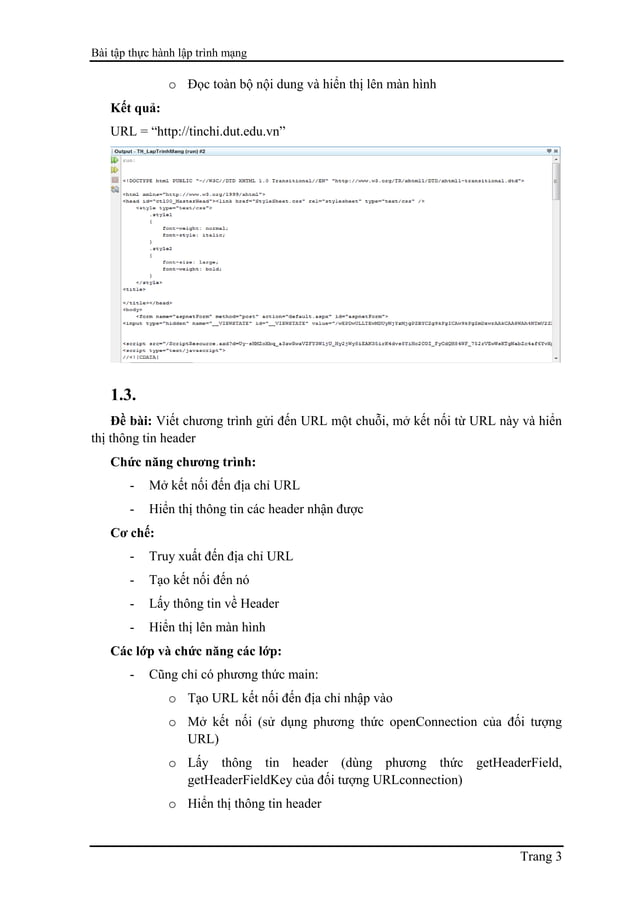 Bai tap lap trinh mang(1) | PDF