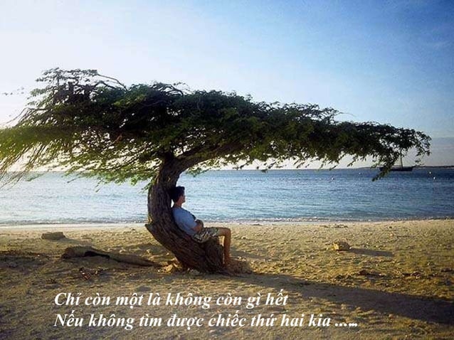 Bai tho doi dep | PPS