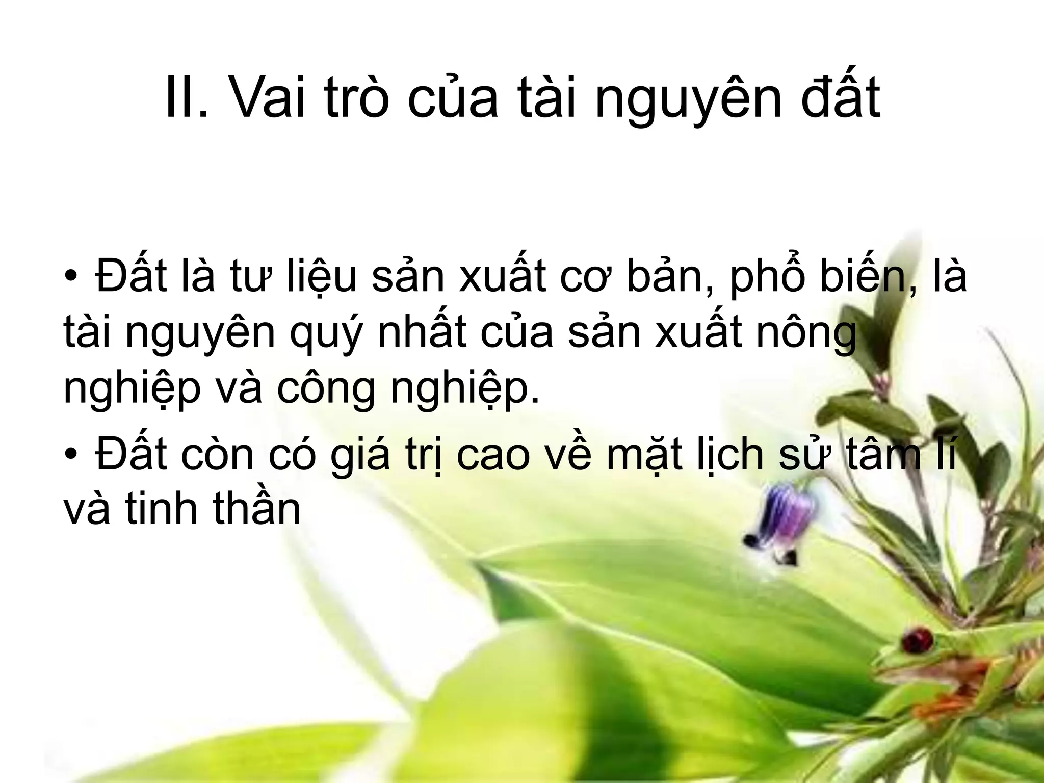 BaI_THUYeT_TRiNH_TaI_NGUYeN_daT_-_NHoM_1.pptx